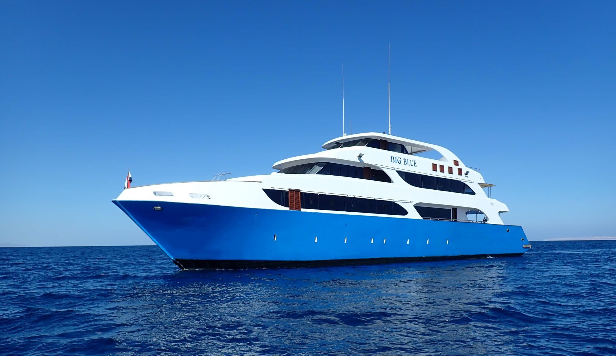 Introducing MY Big Blue | Scubaverse