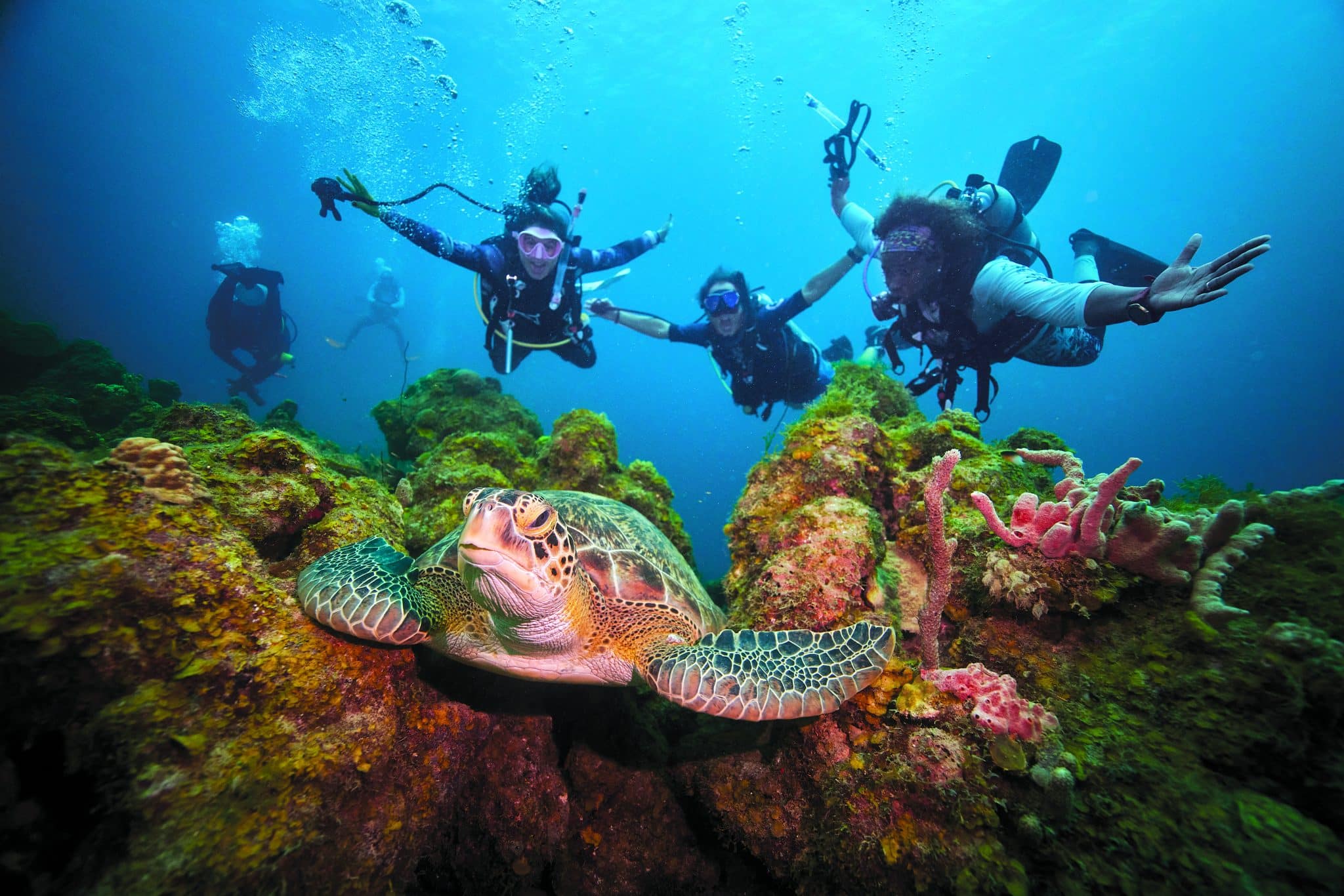 A Commitment As Deep As the Caribbean Sea: Sandals® Resorts and Beaches ...