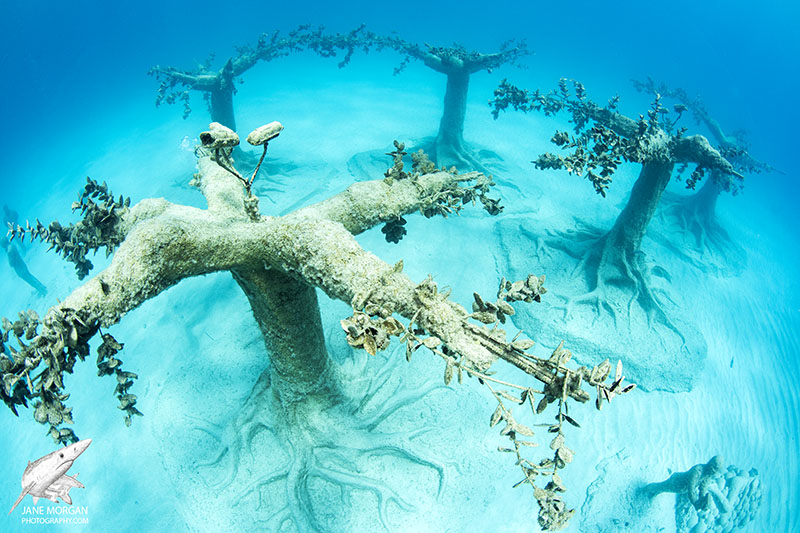 Cyprus – A Closer Look, Part 3: Musan | Scubaverse